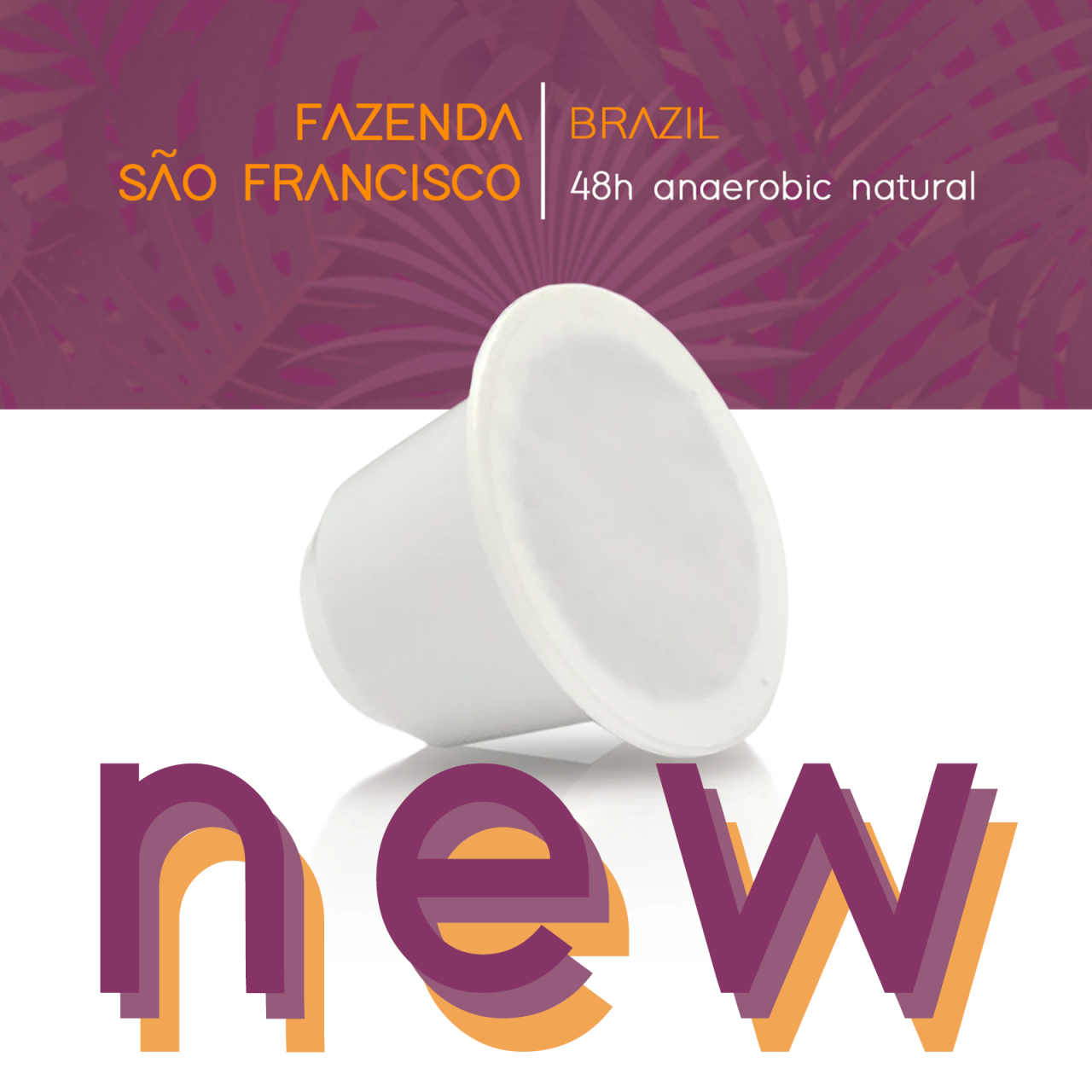 Espresso Capsules Fazenda São Francisco, Brazil [48h Anaerobic Natural